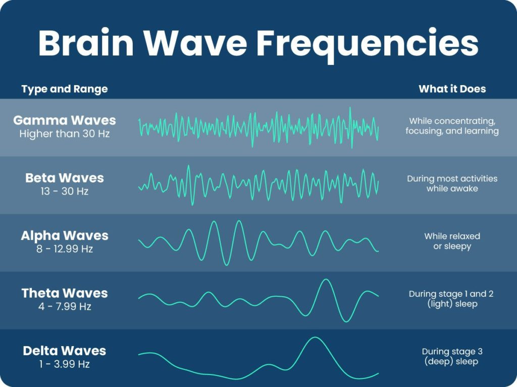 The Stages of Sleep: Understanding NREM and REM Sleep, Theta Wave ...