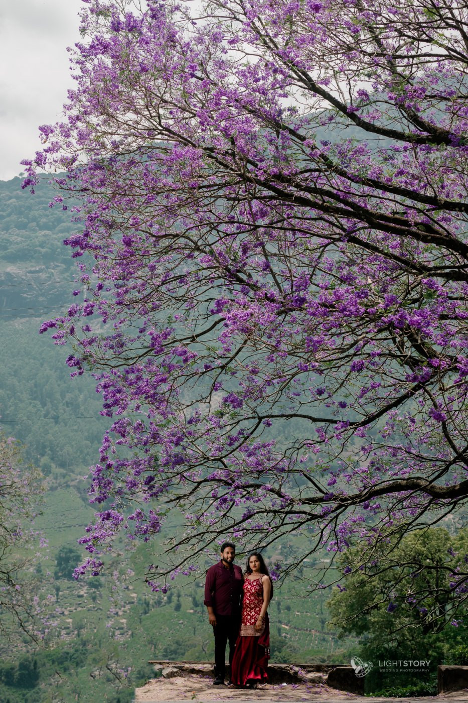 Best Photoshoot Location at Munnar | The Magic of Purple Jacaranda Blossoms